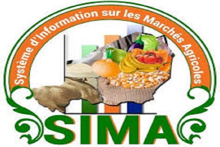 Coût de vie au Niger : les prix des céréales sont en baisse sur les ...